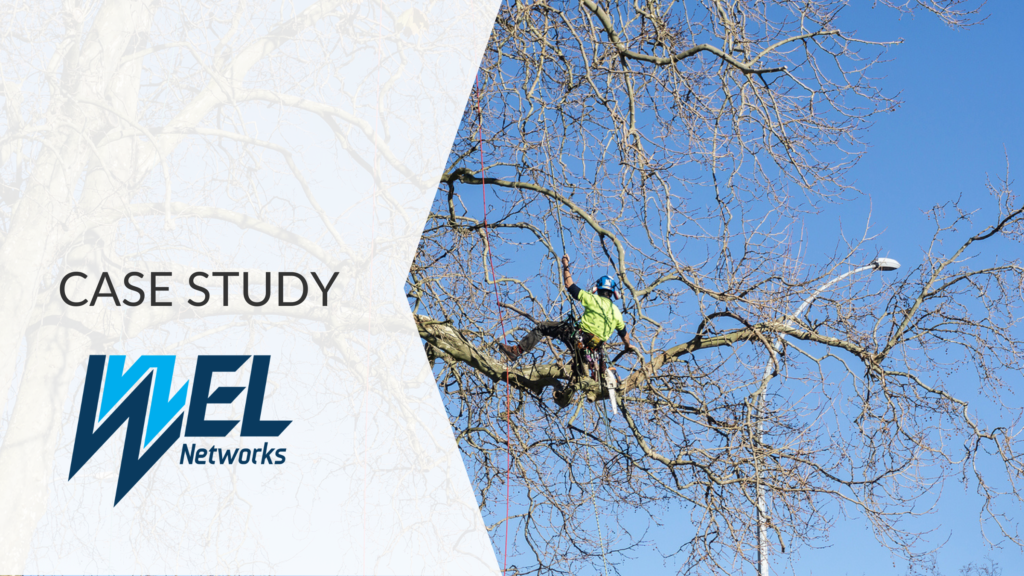 WEL Networks: Managing Hazardous Vegetation During Lockdown - Clearion